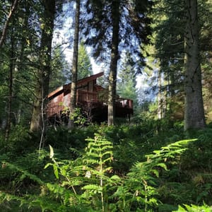 Deerpark Cornwall Log Cabin Holidays & Breaks | Forest Holidays
