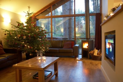 Forest Holidays UK | Luxury Cabin & Lodge Holidays