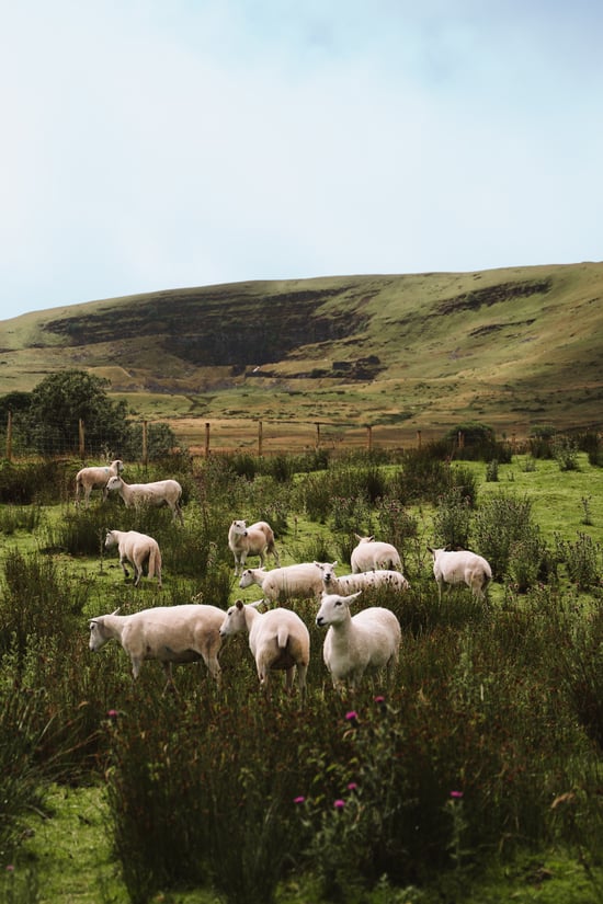 Brecon Beacons Lodges & Log Cabins | Forest Holidays