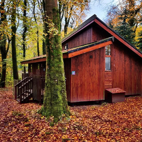 Forest Holidays UK | Cabins & Lodge Holidays