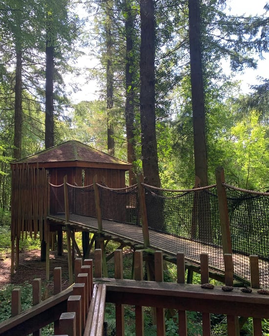 Forest Holidays UK | Luxury Cabin & Lodge Holidays