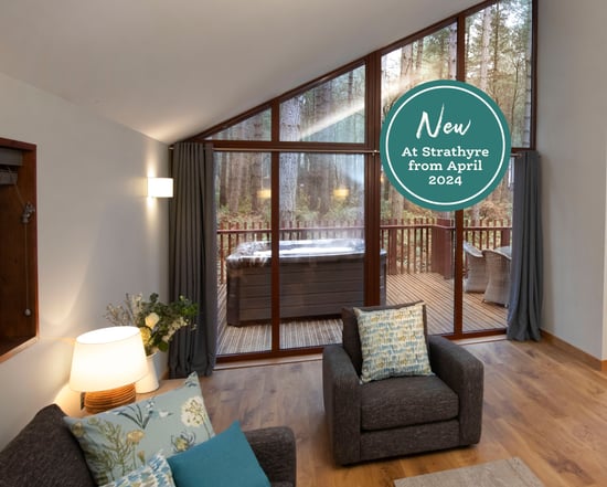 New Style Silver Birch Cabin | Strathyre | Forest Holidays