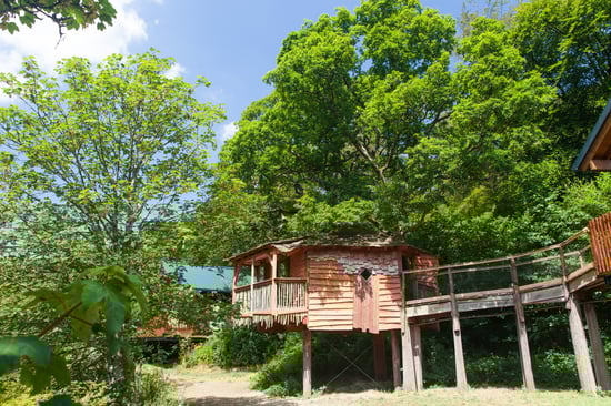 Deerpark Cornwall Log Cabin Holidays & Breaks | Forest Holidays