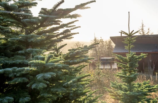 Brecon Beacons Lodges & Log Cabins | Forest Holidays