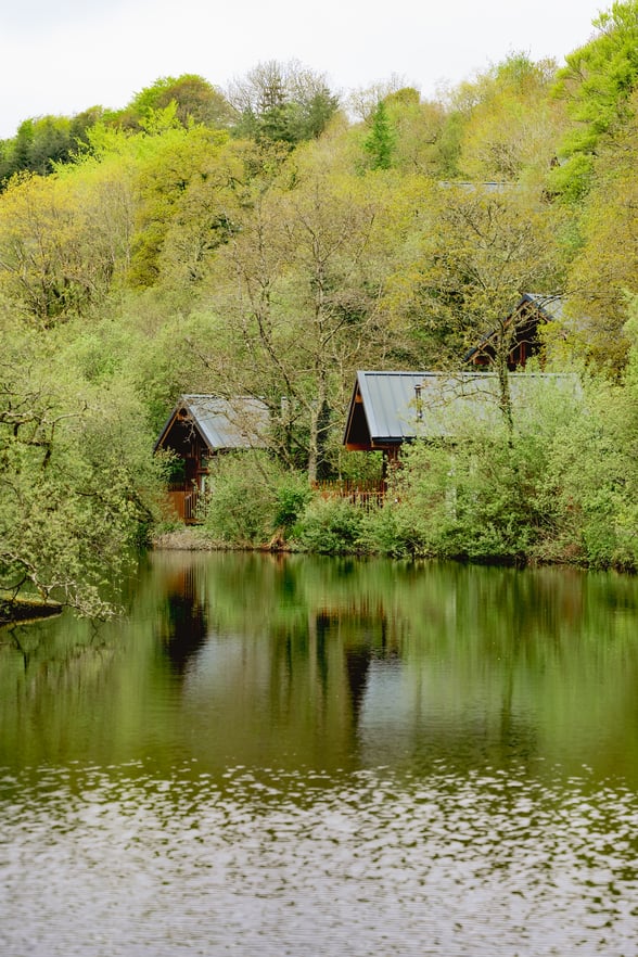 Forest Holidays UK | Luxury Cabin & Lodge Holidays