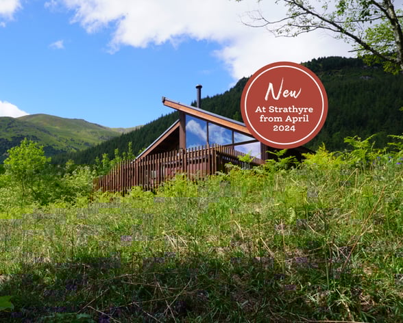 Strathyre, Ben Ledi Log Cabin Holidays & Breaks | Forest Holidays