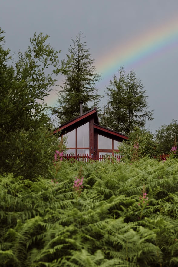 Forest Holidays UK | Cabins & Lodge Holidays