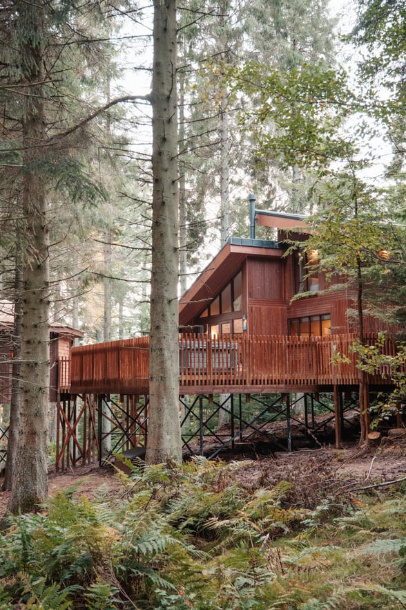 Forest Holidays UK | Cabins & Lodge Holidays