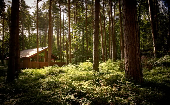 Forest Holidays UK | Cabins & Lodge Holidays