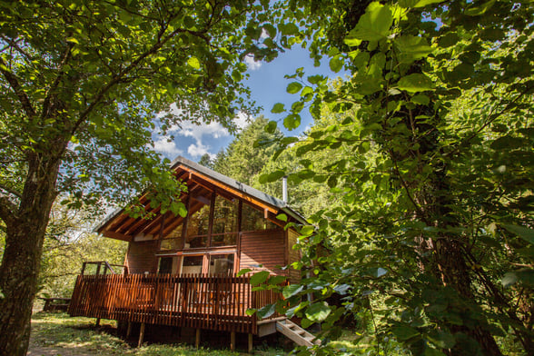 Forest Holidays UK | Cabins & Lodge Holidays