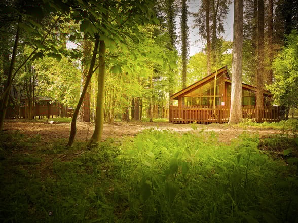 Last Minute Log Cabins, Lodges and Hot Tub Holidays | Forest Holidays