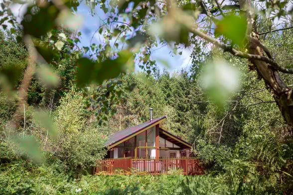 Forest Holidays UK | Cabins & Lodge Holidays