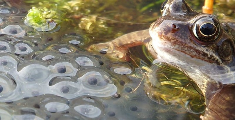 15 Signs That Spring is Here