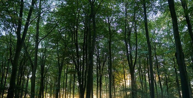 15 Signs That Spring is Here