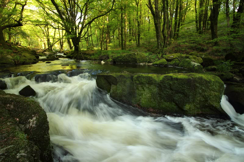 A guide to visiting Golitha Falls, Cornwall