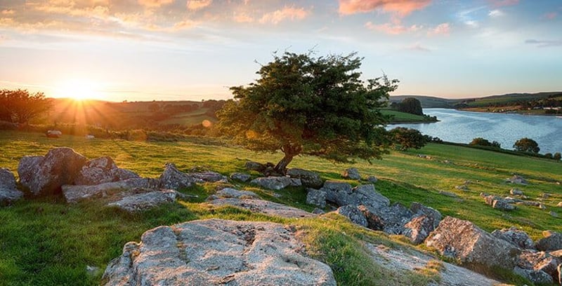 Walks in Cornwall: coastal, circular and woodland walks | Forest Holidays