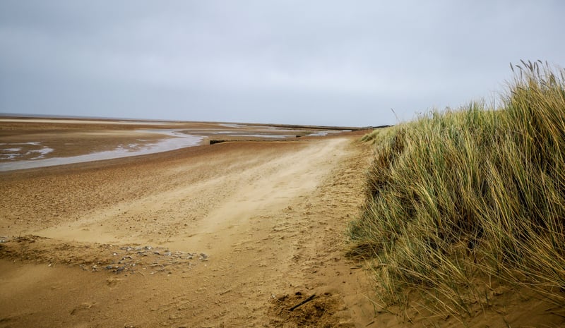 Discover The Best Norfolk Cycle Routes | Forest Holidays