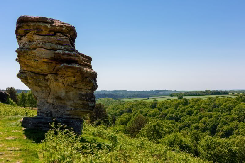 Family Days Out in Yorkshire | Forest Holidays