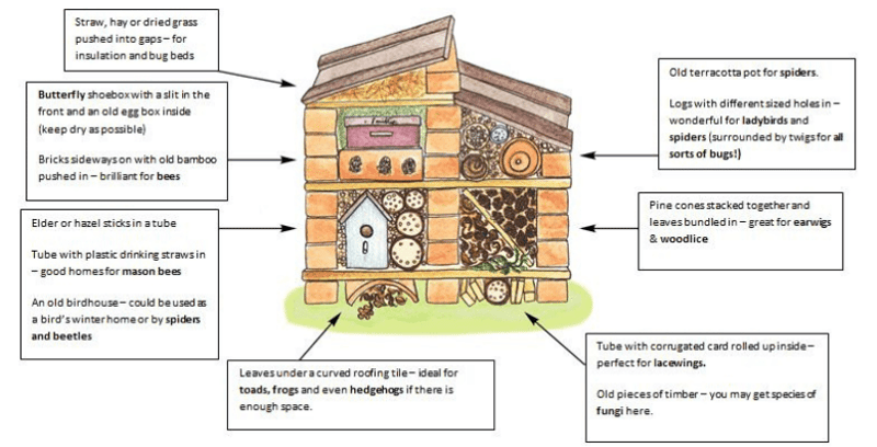 How to build a bug hotel