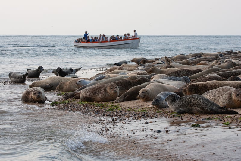 The Best Norfolk Beaches | Forest Holidays