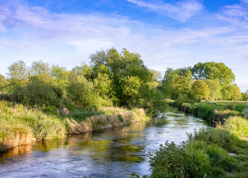 River & Pub Walks in Hampshire | Forest Holidays